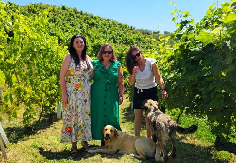 From Durrës/Golem: Vineyard Boat Tour, Wine & Food Tasting - The Experience: A Closer Look at the Tour