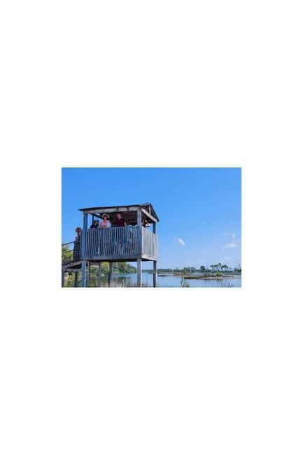 From Durres: Karavasta Lagoon & Apolonia Ancient City Tour - Key Points