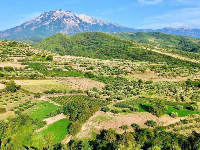 From Durrës: Wine Tasting at Alpeta Winery in Berat - Why This Tour Is Worth It