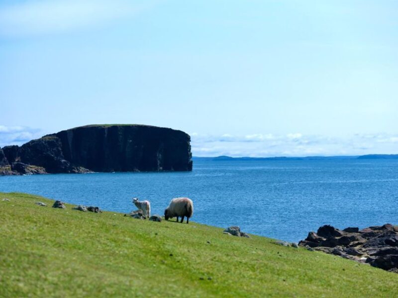 From Edinburgh: 6-Day Shetland & Nothernmost Explorer - Key Points