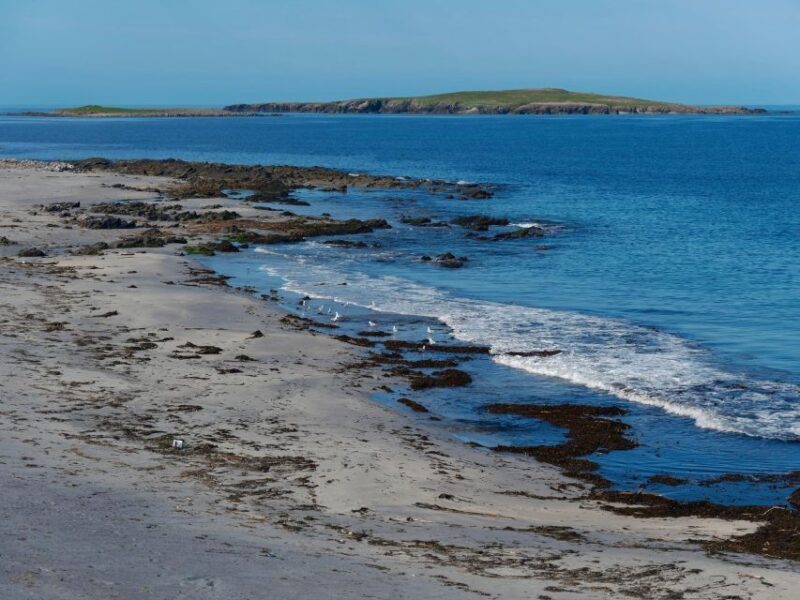 From Edinburgh: 6-Day Shetland & Nothernmost Explorer - Final Thoughts