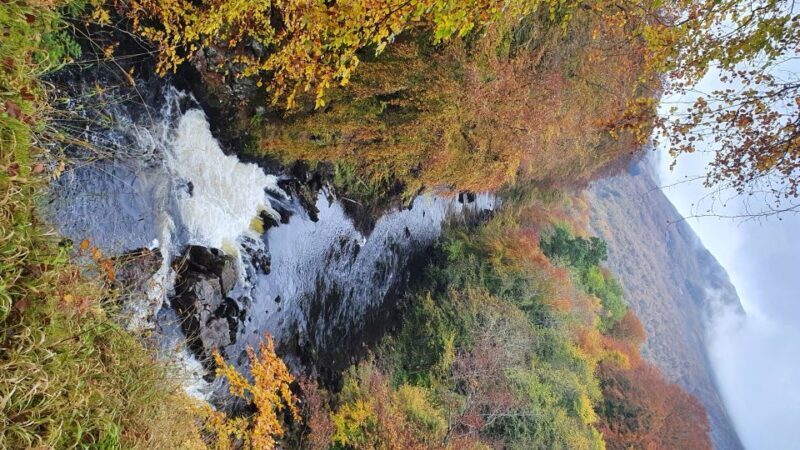 From Edinburgh: a Private Tour to a Majestic Highland Glen - Practical Details and Value