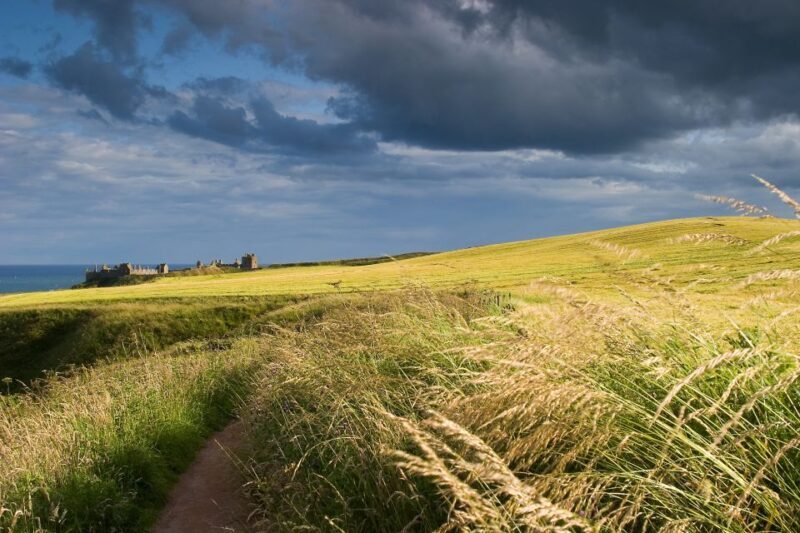 From Edinburgh: Glamis and Dunnottar Castles Tour in Italian - What Travelers Who Loved It Say