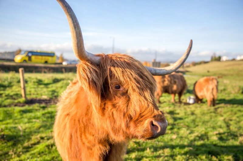From Edinburgh: Isle of Skye & The Highlands 3-Day Tour - Accommodation and Food