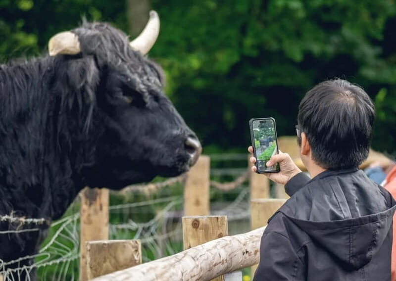 From Edinburgh: Stirling Castle, Kelpies and Loch Lomond - Key Points