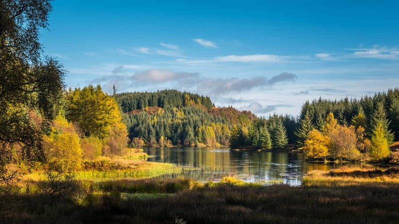 From Edinburgh: Stirling Castle, Kelpies and Loch Lomond - FAQ