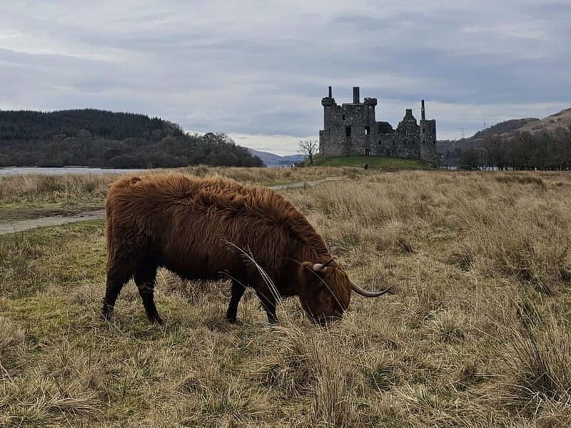 From Edinburgh: West Highlands Luxury Private Day Tour - An In-Depth Look at the Itinerary and Experience