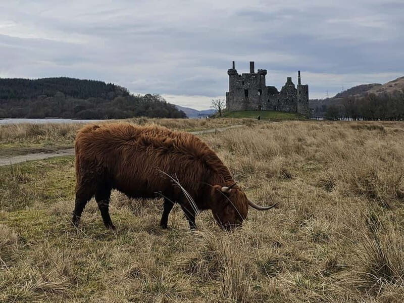 From Edinburgh: West Highlands Luxury Private Day Tour - Frequently Asked Questions