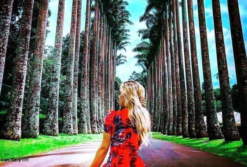 From Ella: 2-Day Tour to Nuwara Eliya and Kandy with Drop - Final Thoughts: Who Should Consider This Tour?