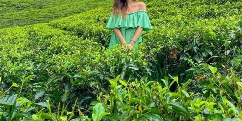 From Ella :All-Inclusive Day Trip to Experience Ella Heights - FAQ