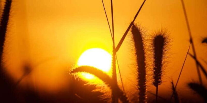 From Ella :All-Inclusive Day Trip to Experience Ella Heights - To sum it up, this tour offers a well-organized, authentic taste of Ella’s most beautiful and interesting sites in one comprehensive day. It combines natural beauty, cultural highlights, and some fun adventures, making it ideal for travelers who want to make the most of their time and experience the real essence of Ella. Whether you’re a first-time visitor or want a guided overview, it’s an excellent option that balances value, convenience, and adventure.