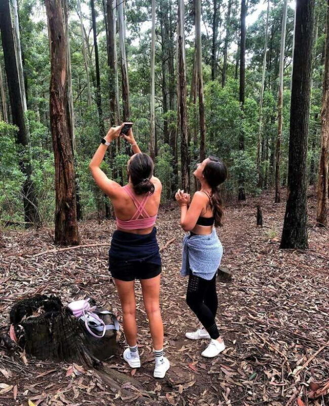 From Ella- All Inclusive Day Trip to Experience Ella & Train - Key Points