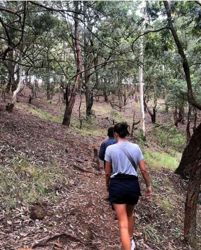 From Ella- All Inclusive Day Trip to Experience Ella & Train - The Broader Picture: Is It Worth It?