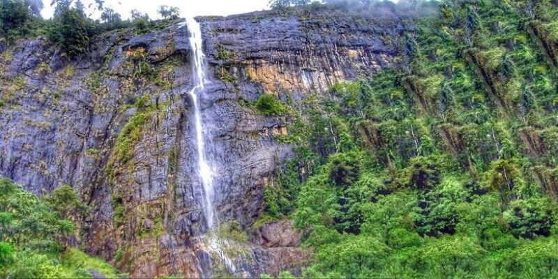 From Ella: Diyaluma Falls Full-Day Tour with Lunch - Key Points