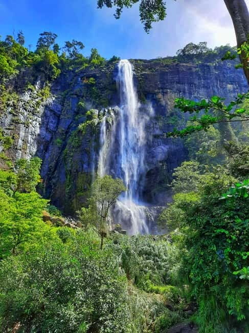 From Ella: Diyaluma Waterfall and Natural Pool Bath Tour - The Itinerary: What to Expect on Your Diyaluma Waterfall Tour