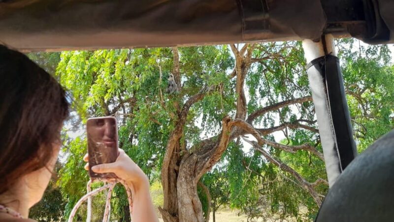 From Ella: Drop to Tangalle/Mirissa/Galle & Udawalawe Safari - Practical Considerations and Tips