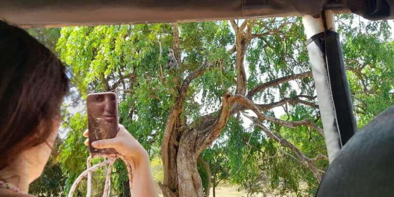 From Ella: Drop to Tangalle/Mirissa/Galle & Udawalawe Safari - FAQs