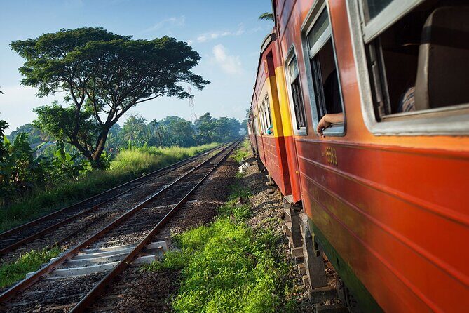 From Ella: First Class Scenic Train Ticket to Kandy - The Journey: What to Expect and Why It Matters