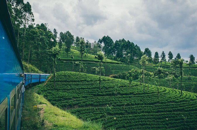 From Ella: First Class Scenic Train Ticket to Kandy - Who Should Consider This Tour?