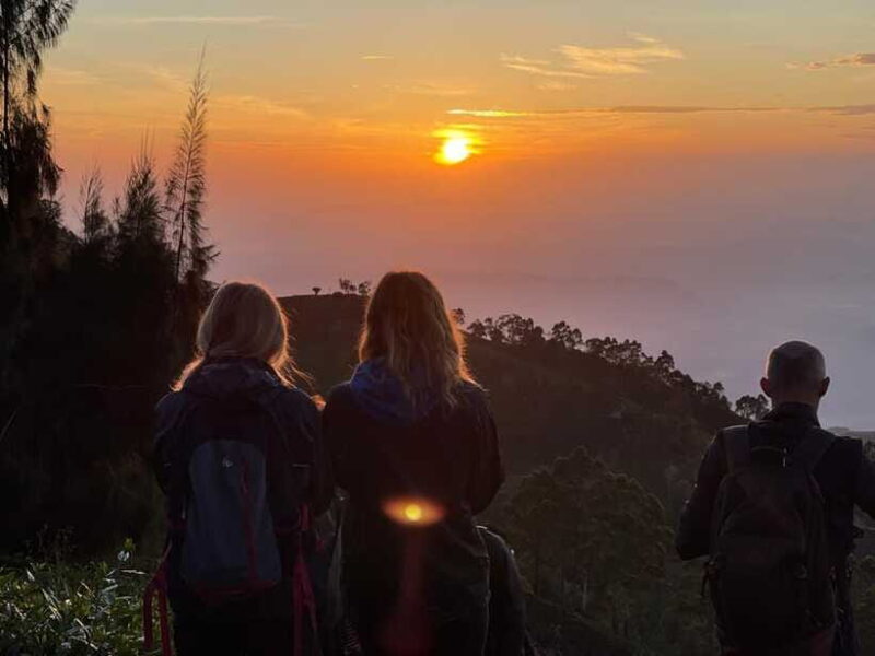 From Ella: Lipton Seat & Dambatenne Tea Factory Day Tour - Practical Details That Matter