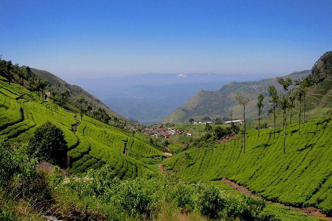 From Ella: Lipton Seat & Dambetenna Tea Factory Private Day Trip - Who Should Consider This Tour?