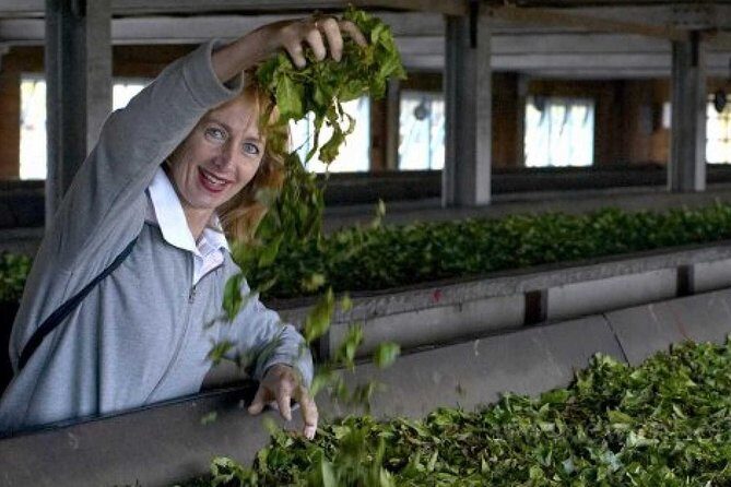 From Ella: Lipton Seat & Dambetenna Tea Factory Private Day Trip - FAQ