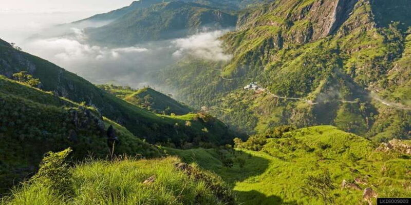 From Ella: Little Adams Peak and Nine Arches Bridge Hiking - Who Will Enjoy This Tour?