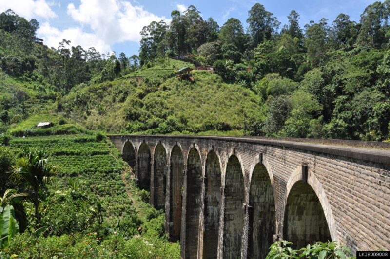 From Ella: Little Adams Peak and Nine Arches Bridge Hiking - The Sum Up