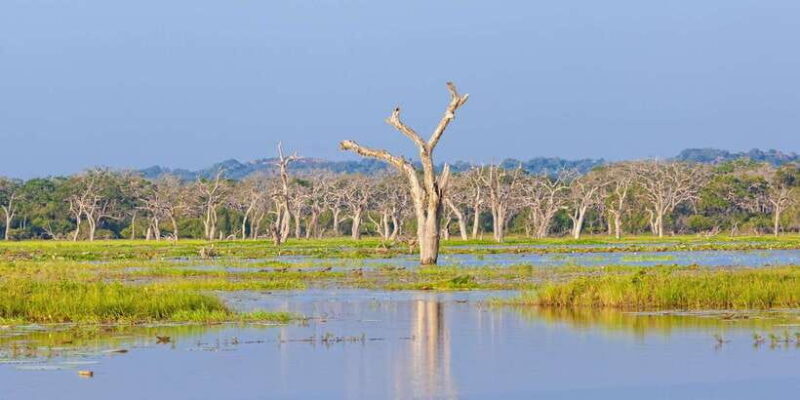 From Ella: Shuttle to Tangalle/Hiriketiya w Udawalawe Safari - FAQ