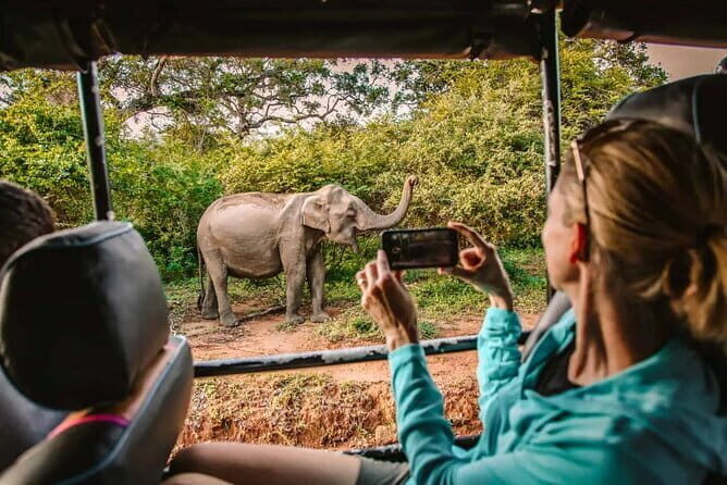 From Ella Shuttle to Tangalle/Mirissa/Galle with Yala Safari Tour - Discovering the Tour Experience