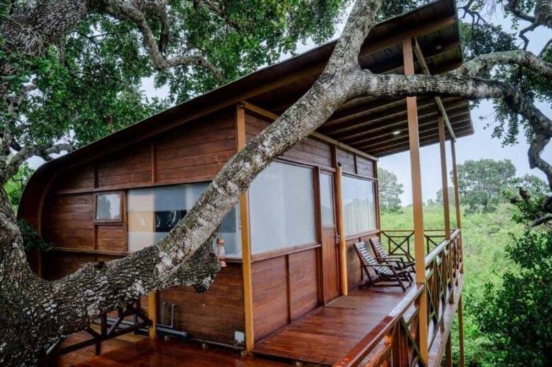 From Ella to Yala National Park Safari with Tree House Stay - Practical Details & What You Should Know