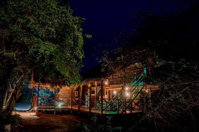 From Ella to Yala National Park Safari with Tree House Stay - The Sum Up