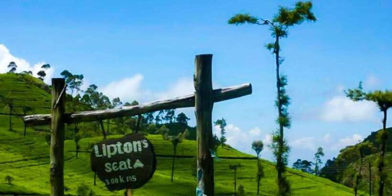 From Ella: Tuk-Tuk Tea Adventure: Lipton's Seat Excursion! - Key Points