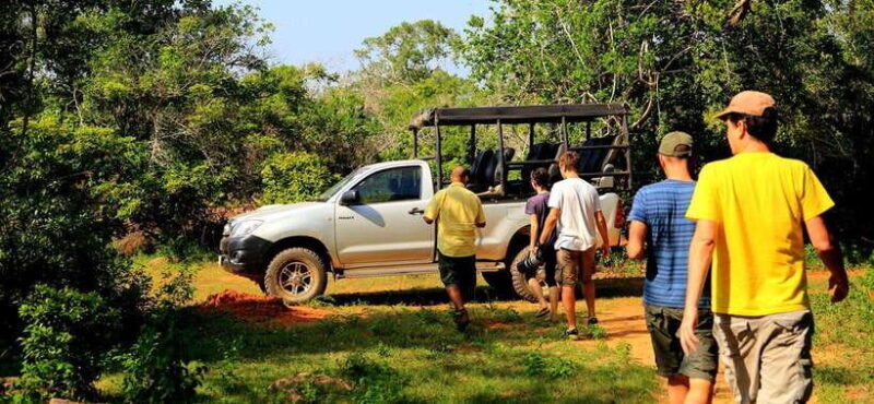 From Ella: Udawalawa Safari and Tangalle/Hiriketiya Transfer - Exploring the Udawalawa Safari & Ella to Tangalle Transfer: An Honest Look