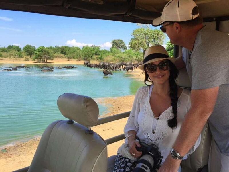 From Ella: Udawalawa Safari and Tangalle/Hiriketiya Transfer - Authentic Traveler Perspectives