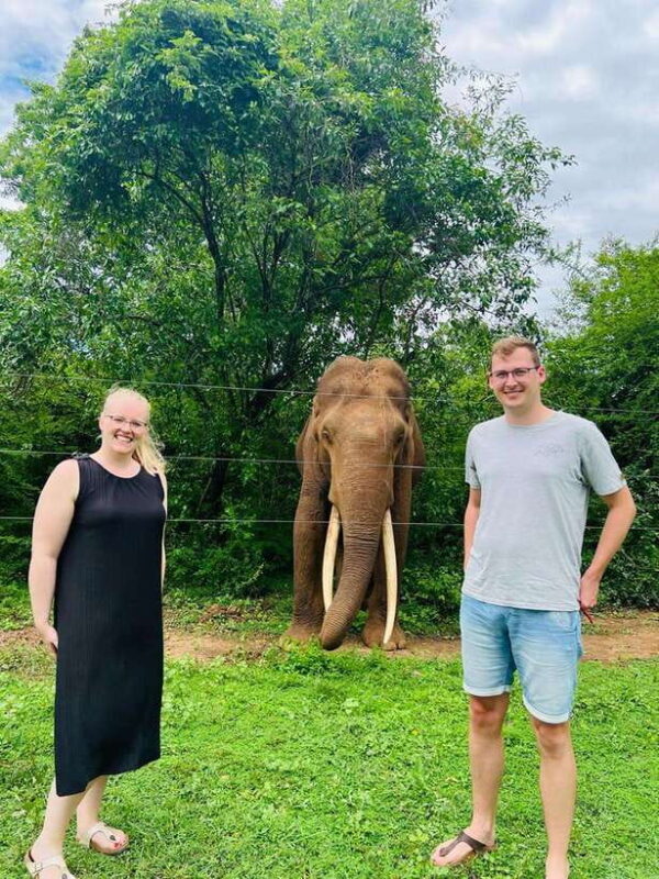 From Ella: Udawalawe National Park Safari with Elephant - Who should consider this tour