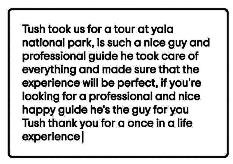 From Ella: Udawalawe National Park Safari with Return - Key Points