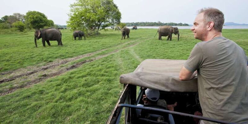 From Ella: Udawalawe Safari with Elephant Transit Home - Exploring the Udawalawe Safari Experience