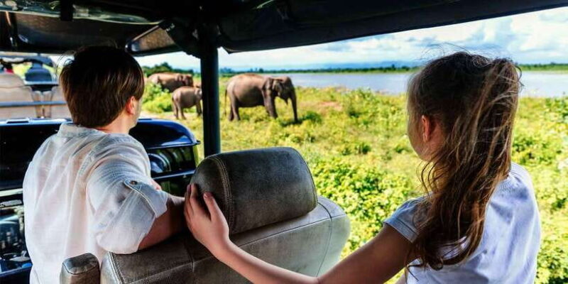 From Ella: Udawalawe Safari with Elephant Transit Home Visit - The Good, the Bad, and the Practical