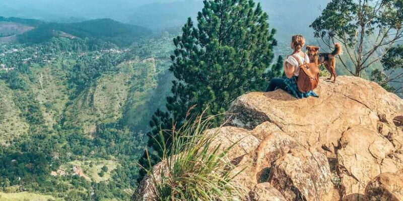 From Ella : Unforgettable Day trip to Experience Ella Peaks - The Sum Up