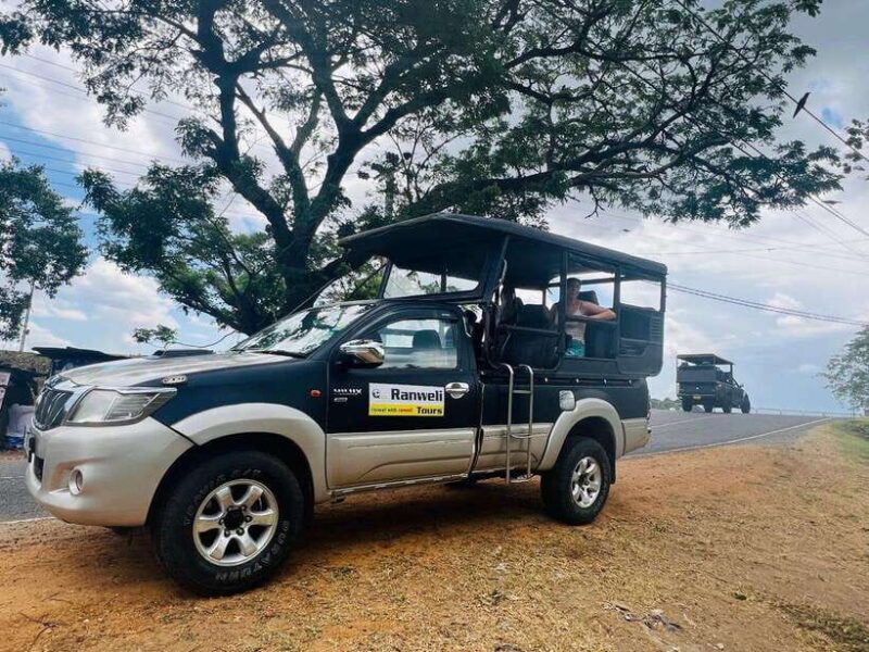 From Ella: Yala National Park Safari & back to Ella - Key Points