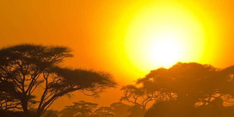 From Ella: Yala National Park Safari Tour in a 4x4 - The Park Entrance Fee and Additional Costs