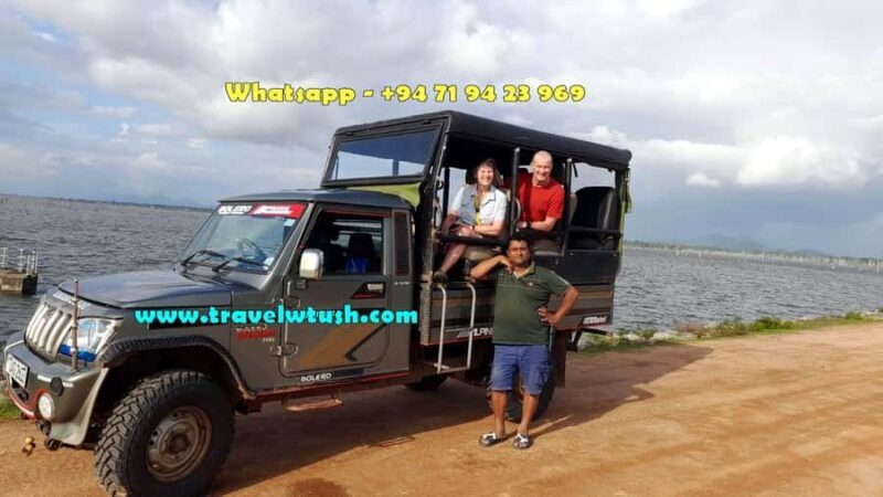 From Ella: YALA National park safari tour with Return - Who Will Love This Tour?