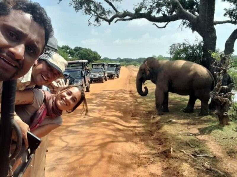 From Ella: YALA National park safari tour with Return - FAQs