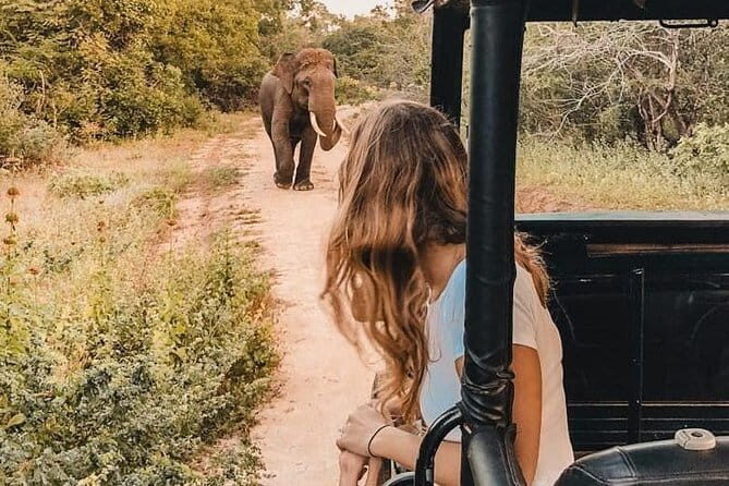 From: Ella - YALA Safari - Drop off: Arugam Bay / Arugambay - What You Get for Your Money: Value and Practicalities