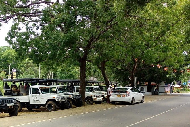 From: Ella - YALA Safari - Drop off: Arugam Bay / Arugambay - Final Thoughts: Is This Tour Right for You?