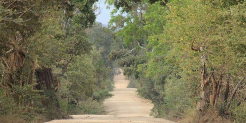 From: Ella - YALA Safari - Drop off: Arugam Bay / Arugambay - FAQ