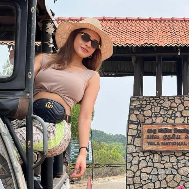 From Ella: Yala Safari & Transfer to Tangalle/Mirissa/Galle - Key Points