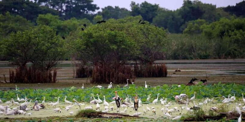 From Ella:Ravana Falls / Diyaluma Falls / Yala National Park - Final Thoughts