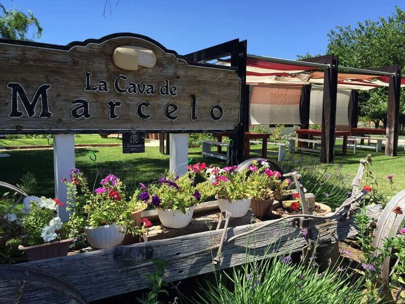 From Ensenada: Ojos Negros Valley Cheese & Wine Tasting Tour - What the Tour Includes and Excludes